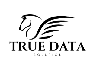 True Data Solution - Expert Data Mining & Business Intelligence